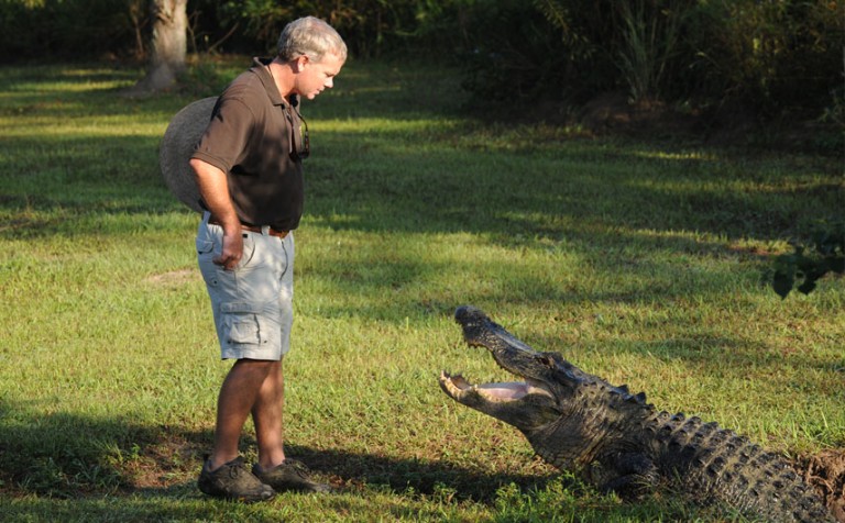 Alligator Alley | Photo Gallery