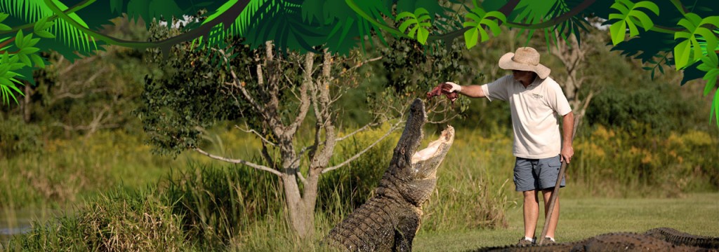 Alligator Alley | Alligator Farm & Family Nature Adventure