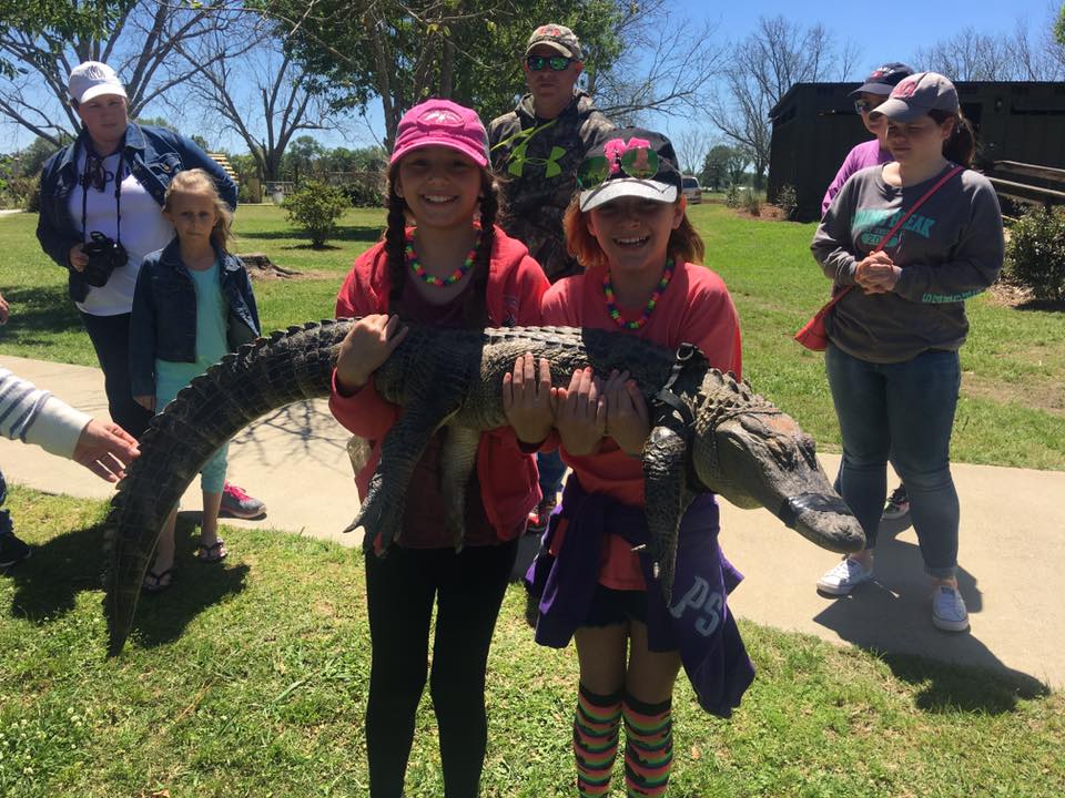 Alligator Alley | Five reasons you should visit Alligator Alley this summer