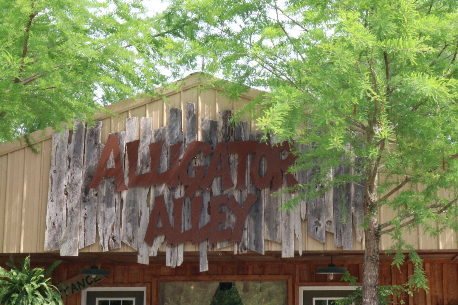 Alligator Alley | Experience All Alligator Alley Has to Offer